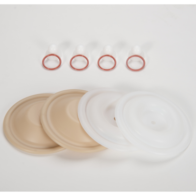 All-Flo CWE-100-TTKT-P C100 Clamped Plastic Series Wet End Repair Kit ...