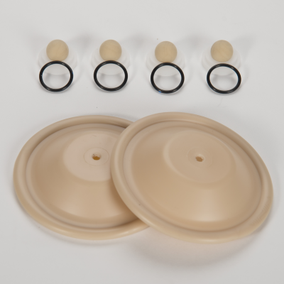 All-Flo CWE-200-SSPE-P C200 Clamped Plastic Series Wet End Repair Kit ...